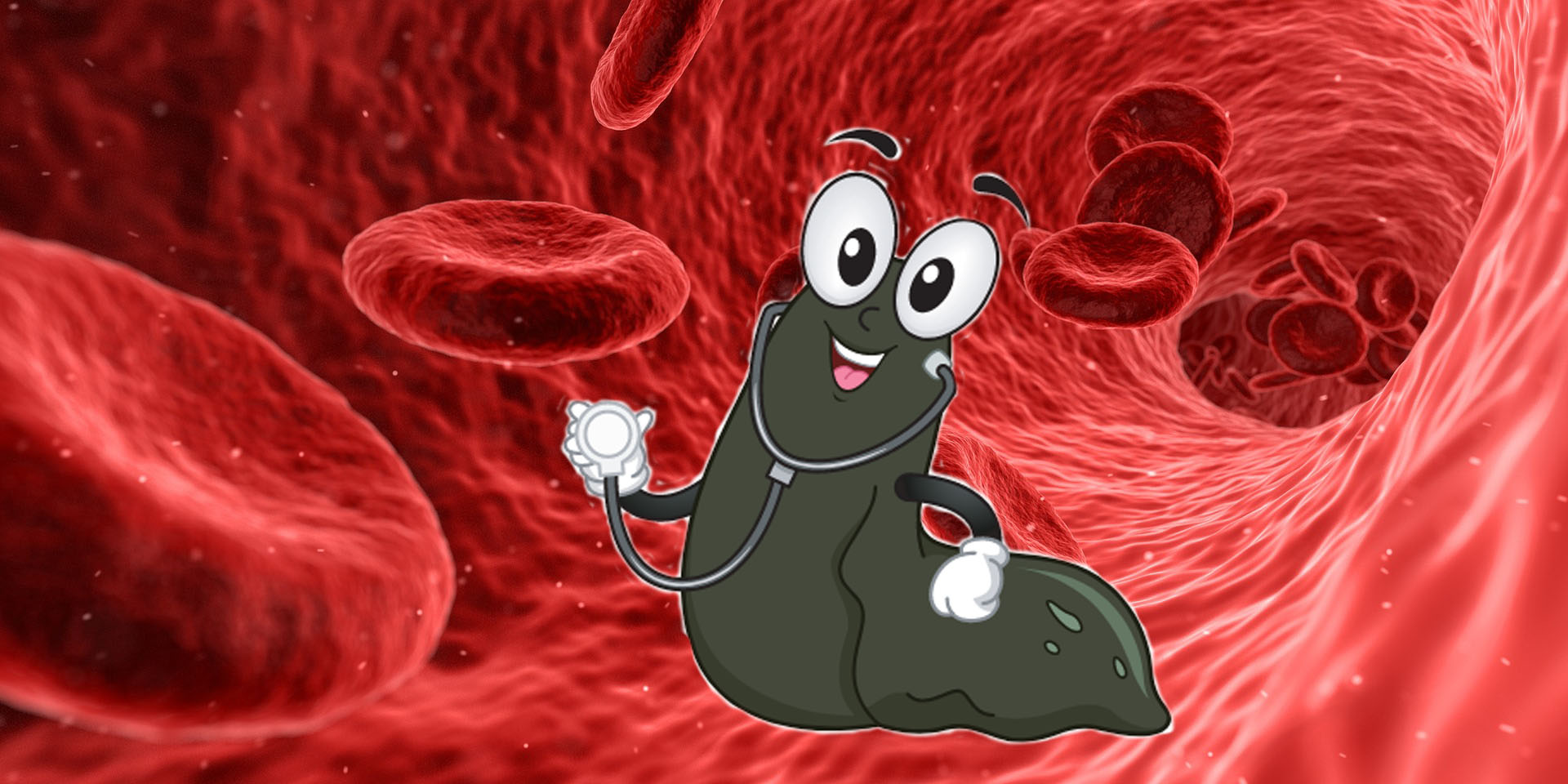 Medicinal leech hirudotherapy – Serapis Wellness Therapies Centre